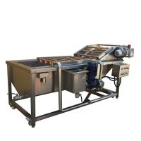 China JOYSHINE Group's Mango Washing Machine Easy to Operate at 500kg/h Production Capacity for sale