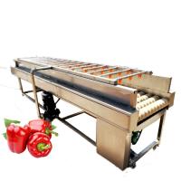 China JOYSHINE Group's Mango Washing Machine Easy to Operate at 500kg/h Production Capacity for sale
