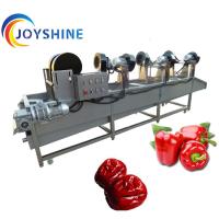 China JOYSHINE Group's Mango Washing Machine Easy to Operate at 500kg/h Production Capacity for sale