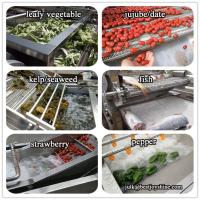 China Hotels 2000kg/H Bubble Washing Machine For Industrial Avocado And Strawberry Cleaning for sale