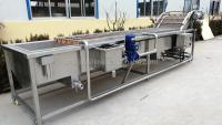 China Hotels 2000kg/H Bubble Washing Machine For Industrial Avocado And Strawberry Cleaning for sale