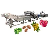 China Washing Equipment Made of Stainless Steel 304 for Chicken Feet Bubble Washing Machine for sale