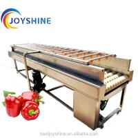 China Washing Equipment Made of Stainless Steel 304 for Chicken Feet Bubble Washing Machine for sale