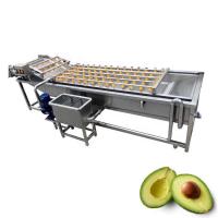 China 9.4kw Lavadora de Frutas y Verduras con Burbujas de Aire Limpieza de Brócoli y Berenjena for sale