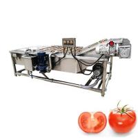 China Automatic Conveyor Belt Industrial Fruit Vegetable Cleaning Machine for Farms 480kg for sale