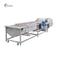 China Automatic Conveyor Belt Industrial Fruit Vegetable Cleaning Machine for Farms 480kg for sale