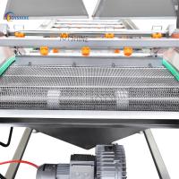 China Automatic Conveyor Belt Industrial Fruit Vegetable Cleaning Machine for Farms 480kg for sale