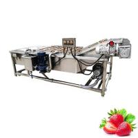China Automatic Conveyor Belt Fruit Vegetable Washer 1000kg/H Custom Hotels for sale