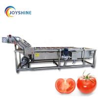 China Performance 600kg Automatic Conveyor Belt Fruit Vegetable Washer Machine for Industrial for sale