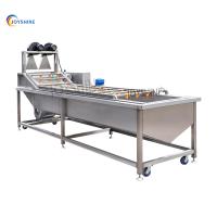 China 4000*1200*1300mm Fruit Vegetable Washer and Sterilizer Orange Fruit Washing Machine for sale