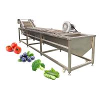 China Industrial Guava Citrus Fruit Brush Ozone Disinfecting Bubble Washing Line by JOYSHINE for sale