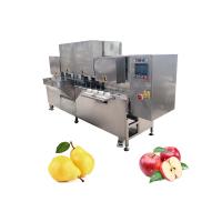 China Apple Skin Removed And Core Peeling Machine 2350 X 800 X 1750mm Apple Slicer for sale