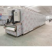 China Joyshine Iqf Fruit Instant Freeze Machine for Frozen Vegetables Processing Line 2.75KW for sale