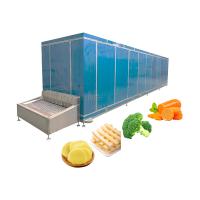 China Joyshine Cold Room Freezer for Iqf Individual Quick Freezing of Fish and Seafood for sale