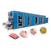China Food Quick Frozen Machine 220V 380V Blast Freezer Small IQF Tunnel Freezer for sale