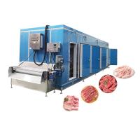 China Quick Freeze Machine Low Temperature Blast Freezer For Industrial 600kg/H Capacity for sale