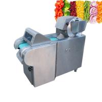 China Custom Gas Vegetable Multi Function Cutter For Kale Parsley 200 / 500 / 1000 / 2000kg/H for sale