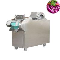 China Custom Gas Vegetable Multi Function Cutter For Kale Parsley 200 / 500 / 1000 / 2000kg/H for sale