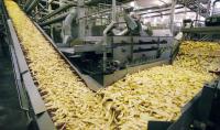 China High-Efficiency Fully Automatic French Fries Production Line | Customizable Potato Chips Processing Equipment | Ideal for Food Processing Plants for sale