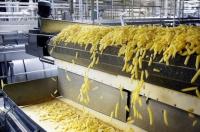 China Industrial French Fries Production Line for Finished Products Potato Chips French Fries for sale