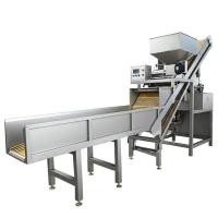 China Customizable Frozen French Fries Making Machine for Perfectly Crispy Potato Chips Production for sale