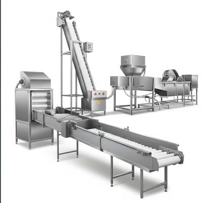 China Semi-Automatic French Fries Production Line for Customization and Final Products for sale