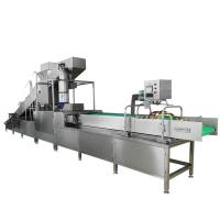 China Advanced French Fries Production Line for Precise Cutting of Potatoes Chips Thickness 2-10mm Automatic Grade Automatic for sale