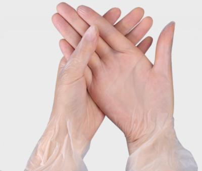 China Single- ambidextrous Vinyl gloves designed for food work delivering high comfort levels and effective contamination prevention for sale