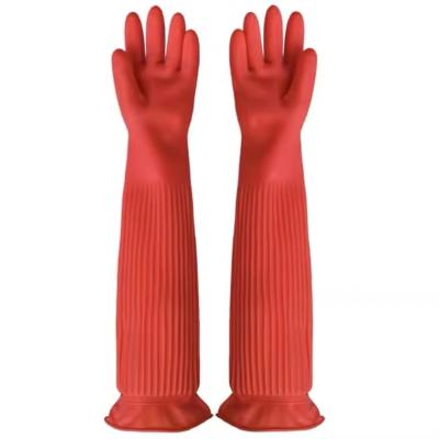 China Palm Thickness 125 Grams/pair Disposable Gloves Fitable for sale
