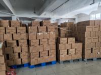 China Food Grade Vinyle Disposable Glove Offering Comfort and Durability for Food Industry Professionals for sale