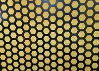 China Hexagonal Mesh for sale