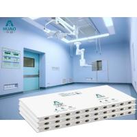 China HUAAO Modular Cleanroom Wall PU Rock Wool Sandwich Panels Cleanroom Wall Panels for sale