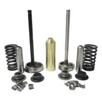 China Komatsu S6D110 Engine Valve Kit 6138-42-4110 6136-42-4210 Cylinder Head Valve Set for sale