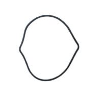 China Cummins QSX15 ISX15 X15 Camshaft Cover Gasket 3679931 Metal New for sale