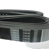 China Diesel Engine Fan Belt 3100188 for QSX15 ISX15 12 Month Warranty for sale