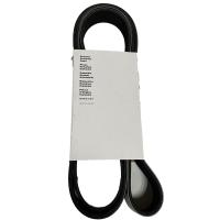 China Diesel Engine 6CTA8.3 V Ribbed Belt 3289697 Standard Size New 12 Month Warranty for sale