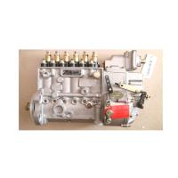 China Genuine 6CT Diesel Engine Fuel Injection Pump 3976375 New Metal Part for sale