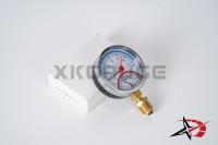 China Temperature & Pressure Gauge 63mm 12 Bar 120°C HVAC Boiler Combined Gauge for sale