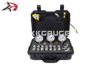 China Portable Hydraulic Pressure Testing Kits OEM ODM With 3 Pressure Gauges / 14 Fittings for sale