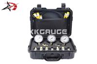 China High Accuracy Pressure Testing Kits , Hydraulic Black Tool Kit With 3 Pressure Gauges / 9 Fittings for sale