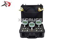 China High Accuracy Digital Hydraulic Pressure Test Kit with 3 Digital Gauges / 14 Fittings for sale