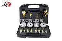 China Black Single Layer Hydraulic Pressure Test Gauge Kit With 10 Fittings OEM ODM for sale
