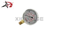 China Radial 304 Stainless Steel Glycerin-Filled Pressure Gauge, 63 mm Dial, 1/4