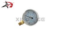 China Radial 304 Stainless Steel Glycerin-Filled Pressure Gauge, 63 mm Dial, 1/4