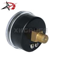 China High Precision Utility Pressure Gauge EN837-1 Medical Pressure Gauge 26 ATM for sale