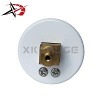 China Axial Direction Mount Hygienic Pressure Gauge 30 ATM Luminous Inflation Syringe Manometer for sale