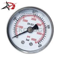 China SS316 Axial Fuel Pressure Gauge For Industry 1/4 NPT 6000 Psi for sale