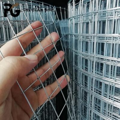 China Construction Wire Mesh Hot Sale High Quality Garden Fence Used 100 x 100mm Galvanized Welded Wire Mesh Roll for sale