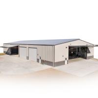 China China Modern Prefab Galvanized Steel Frame Light Warehouse Structure Workshop Building Factory Shed 2-Year Warranty Construction for sale