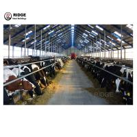 China prefabricated cattle/sheep/pig shed with H-beam or light steel trusses. Anti-corrosion, insulated steel structure, energy-saving, eco-friendly, professional design, customizable. for sale